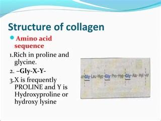 Fibrous Proteins Ppt
