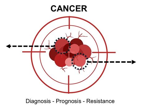 Single Cell Analysis In Cancer Therapy Advances In Diagnosis