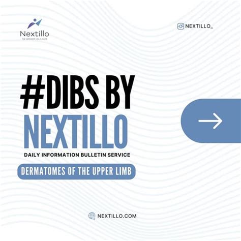 Dermatomes Of Upper Limb Dr N Mugunthan Ms