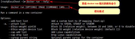 Docker 常用容器命令 变体精灵 博客园