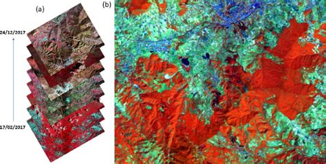 a sentinel 2 layer stacking of the monthly images considered in the
