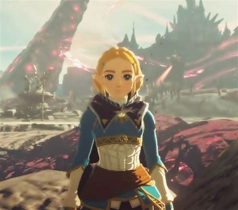Zelda Breath Of The Wild Princess Zelda Zelda Art Hyrule Warriors