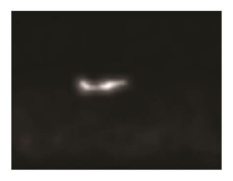 Saliency Maps Generated By Different Fusion Schemes The Salient Object