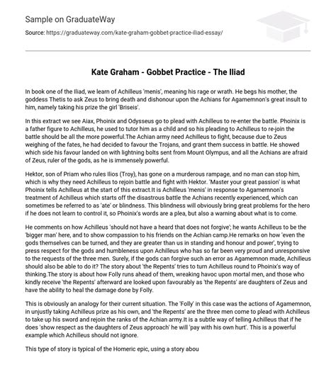 ⇉kate Graham Gobbet Practice The Iliad Analysis Essay Example