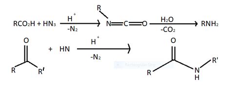 Nitrene Is An Intermediate In One Of The Following Class 11 Chemistry