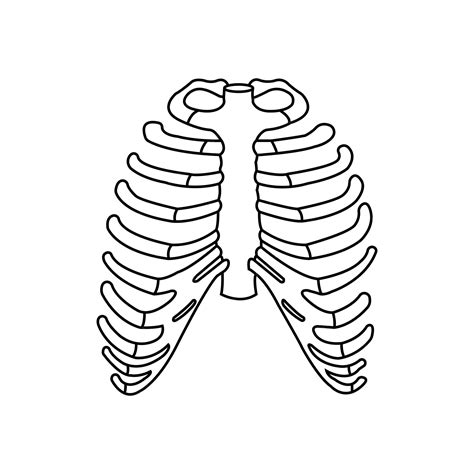 El Icono De Las Costillas Humanas Vector Premium
