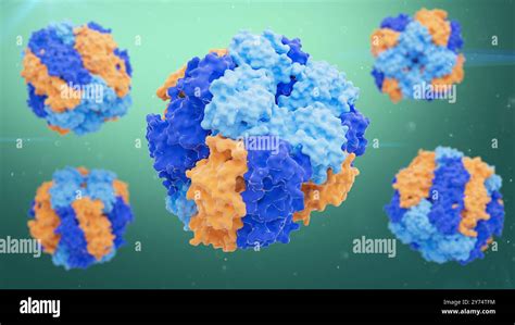 Illustration Of The Ribulose 15 Bisphosphate Carboxylaseoxygenase Rubisco Enzyme Structure