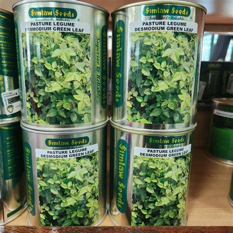 Desmodium Green Leaf Pasturefodder Agroduka Limited