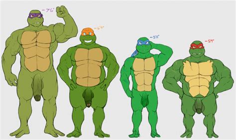 Rule 34 4boys Anthro Balls Donatello Tmnt Flaccid Humanoid Penis