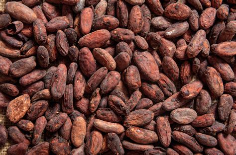 How To Roast Cocoa Beans Cocoa Roasting Process