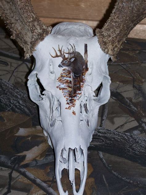 Best Deer Skull Mounts At Morgan Hamilton Blog