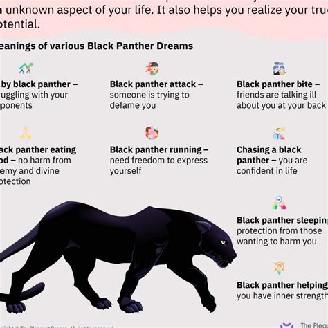 Descubre El Inquietante Significado De Soñar Con Una Pantera Negra Atacando