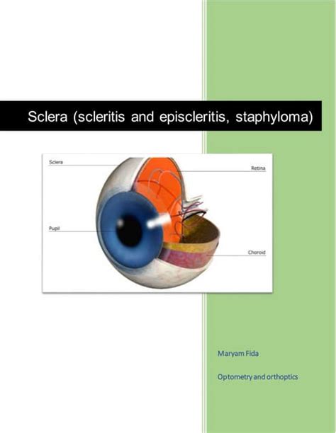 Operating Systems Basics Graphical User Interfaces Guis Gui Tools Applications And The