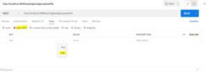 Uploading A File And Json Data In Postman Baeldung