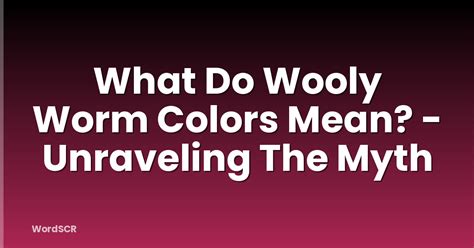 What Do Wooly Worm Colors Mean Unraveling The Myth Wordscr