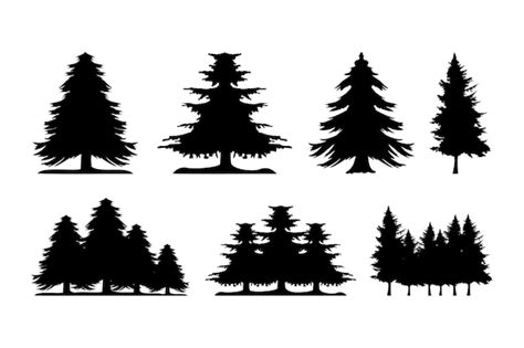 Pine Tree Silhouet Logo Fir Tree Vector Icoon Collectie Premium Vector