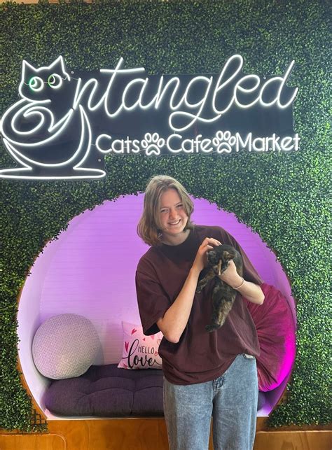 Kat Entangled Cat Cafe