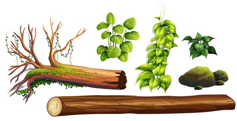 A Set Of Forest Element 419757 Vector Art At Vecteezy