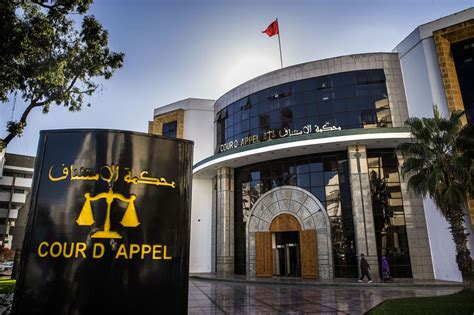 Hamza B Krijgt Twintig Jaar Cel Nrc