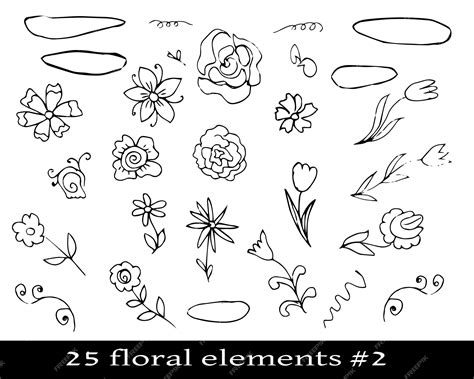 Premium Vector Set Of Floral Elements With Flowers And Frames Vector Illustration Isolated