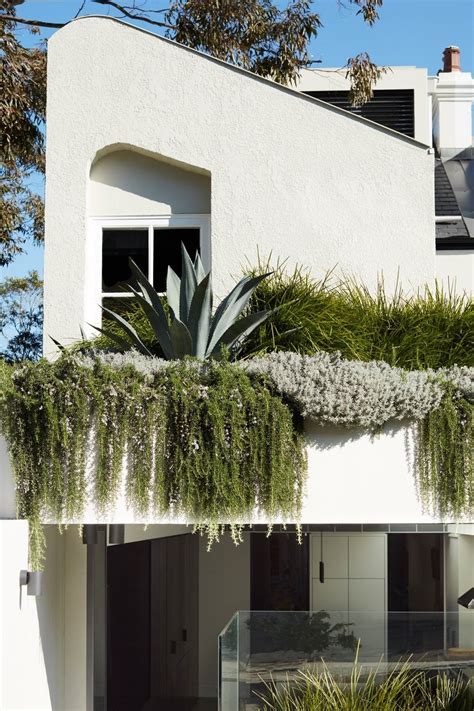 450 Ideas De Plantas En 2025 Plantas Decoración De Unas Jardines