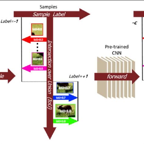Diagram Of The Deep Classification Trackers Trained With The Binary