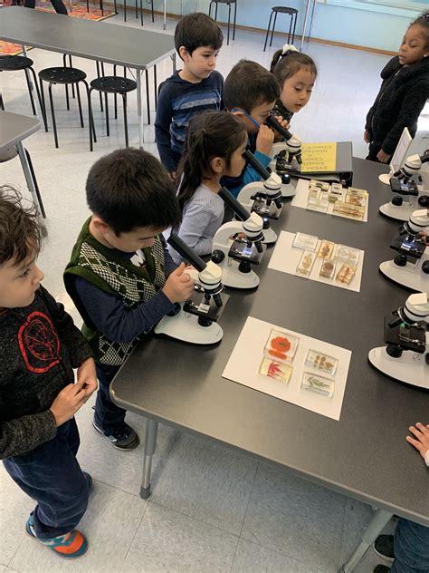 Stem Lab Programs Valerio Street Elementary School