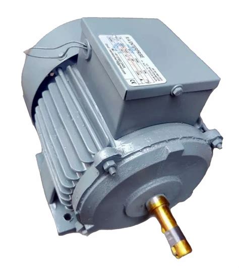 15 Kw 2hp Single Phase Electric Motor 960 Rpm At Rs 4800 In Agra Id