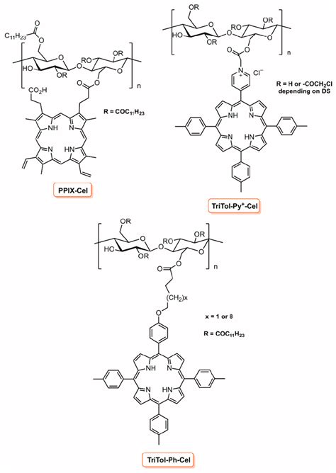 Structures Of Photobactericidal Plastic Films Based On Esterified