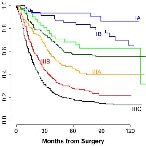 Calibration Plots For The Mskcc Nomogram In Chinese Cohort On The