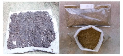 Dried Digested Sludge To Be Used As Organic Fertilizer Download