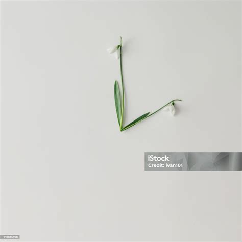 크리에이 티브 레이아웃 밝은 배경에 헌병 꽃으로 만든 플랫이 하다 봄 최소한의 개념입니다 갈란투스에 대한 스톡 사진 및 기타