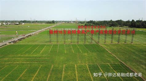 涉农贷款产品大全！超全农户贷产品大纲 知乎