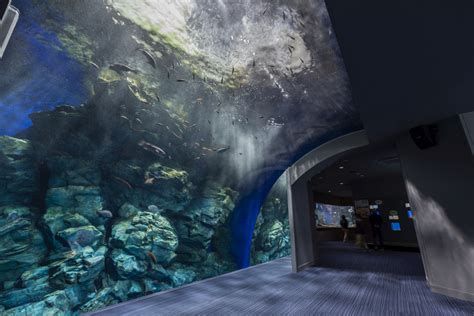【福岡】九州を代表する水族館「マリンワールド海の中道」でペンギンやラッコに会いに行こう♪｜るるぶandmore