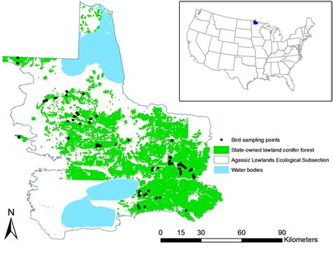 Agassiz Lowland Ecological Subsection State Owned Lowland Conifer Download Scientific Diagram