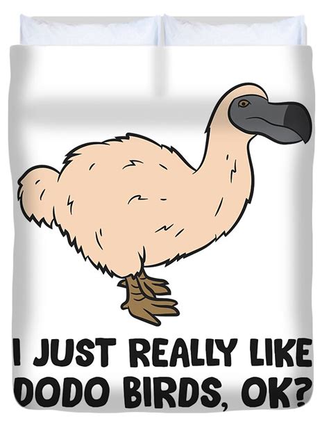 Dodo Bird Memes
