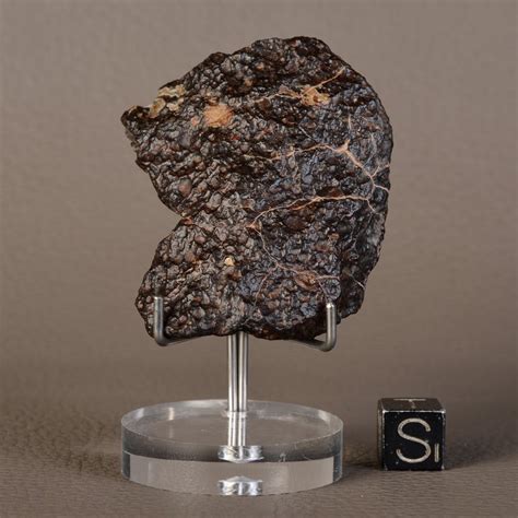 Meteorite Nwa 14161 Condrite Carboniosa Cv3 42 72 G 1 Catawiki