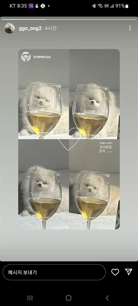 최성임6 님의 라이프스타일 라이프스타일 슈퍼앱 오늘의집