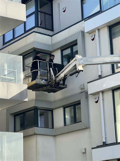 Bird Proofing Ringwood Pest Control