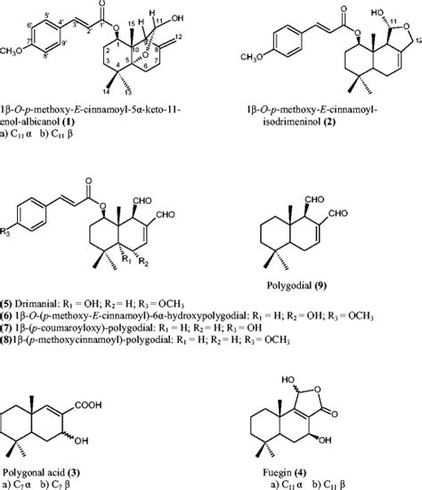 Molecular Structure Of The Isolated Compounds From Stem Bark Of D