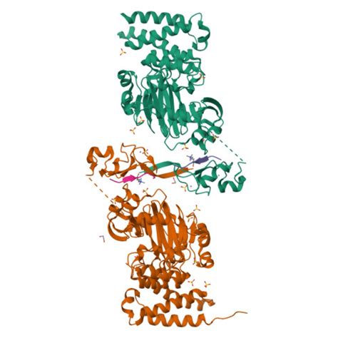 Gene O75151 Protein Phf2 Cell Line Evidence Cansarai