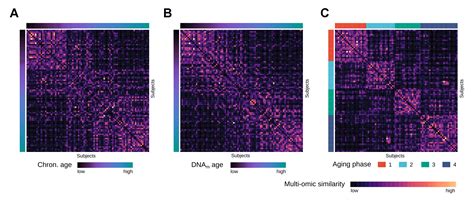Multi Omics Network Analysis Reveals Distinct Stages In The Human Aging