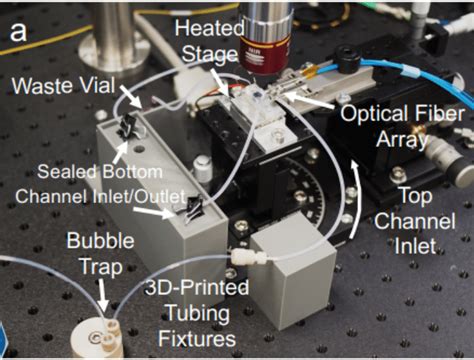 Development Of A Tissue Chip Platform University Of