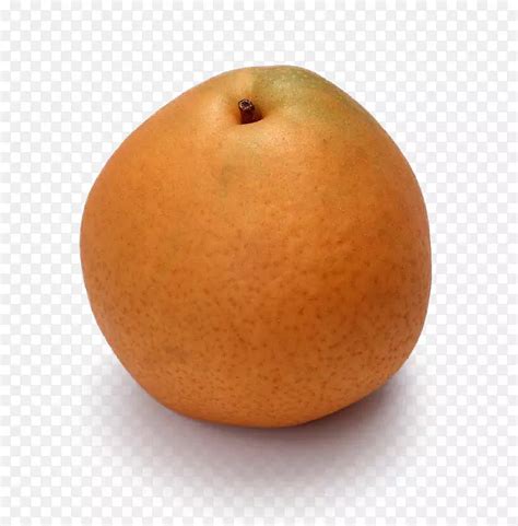 梨子 梨子png图片素材下载 图片编号431450 Png素材网