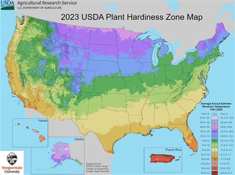 Discover Usda Hardiness Zones For Successful Gardening Baxter Gardens