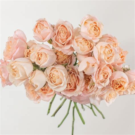 Peach Spray Rose Flower Diy Wedding Flowers Flower Moxie