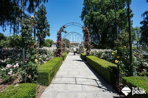 A Guide To The Huntington Botanical Gardens Library And Art