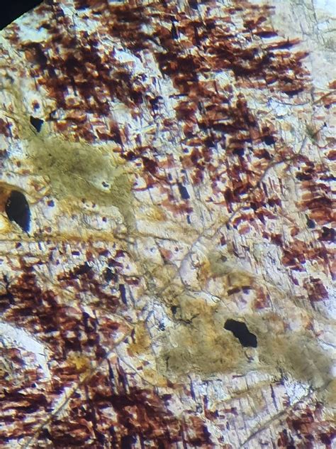 Macro Mineral Stone Crystal Seen Under A Microscope Colorful Abstract