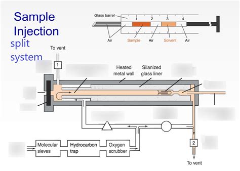 Split System Sample Injection For Gc Diagram Quizlet