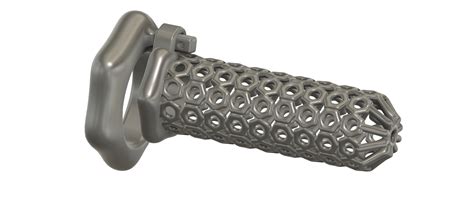 Download Stl File Male Original Delicate Bolt Nuts Chastity Device